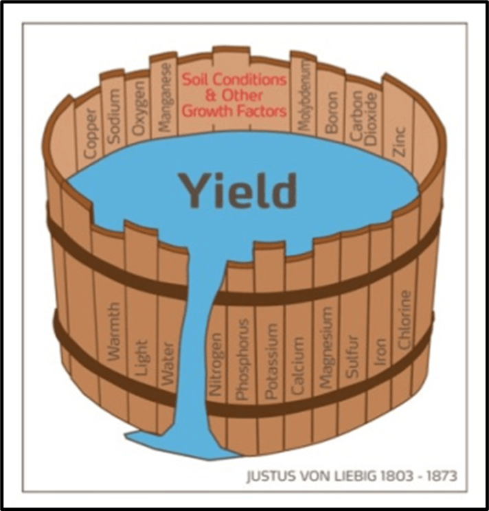 Essential Plant Nutrients: What Plants Need and Why – The Science of Soils